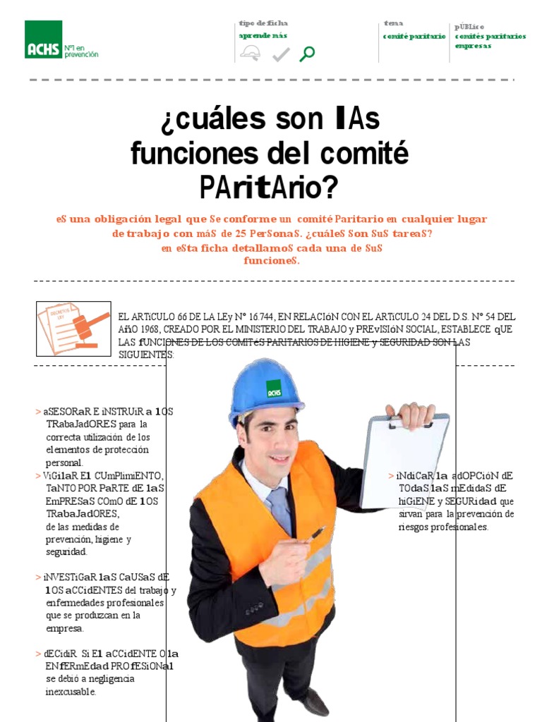 Cuales Son Las Funciones Del Comite Paritario | PDF