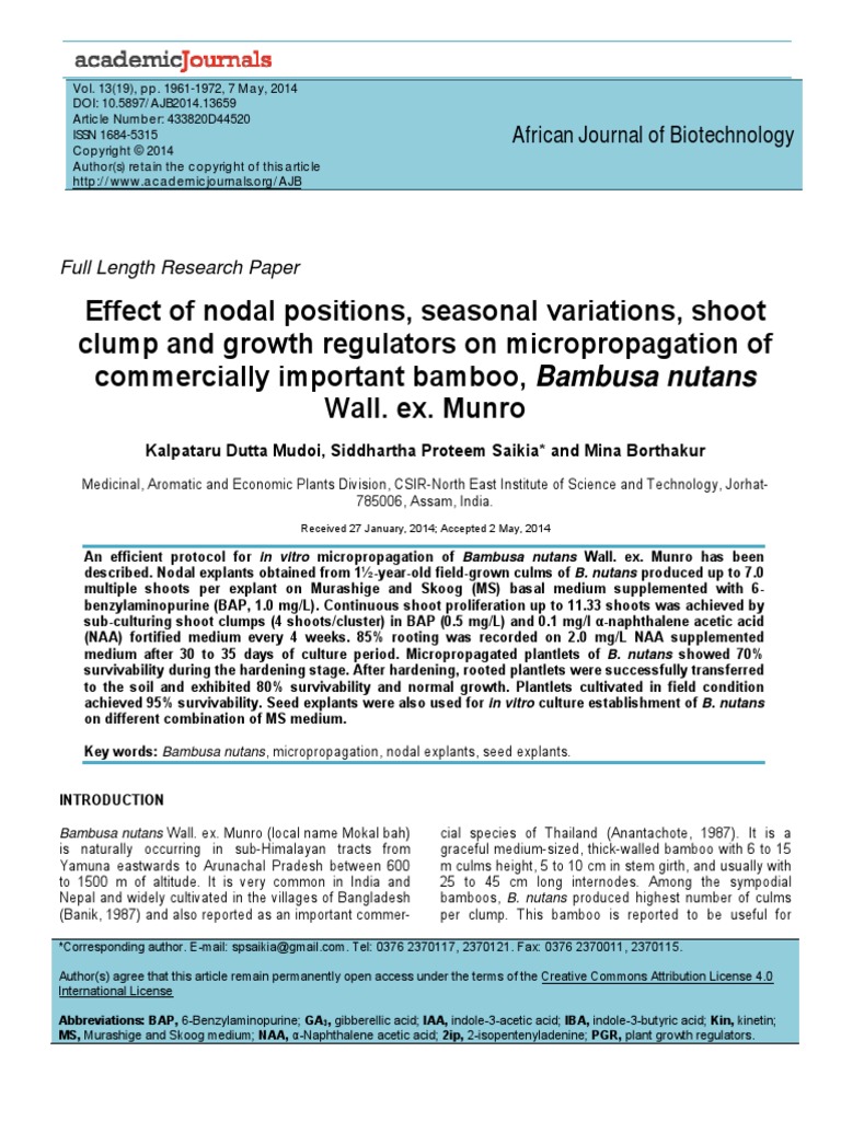 Bambusa Nutan Research Paper | PDF | Root | Seed