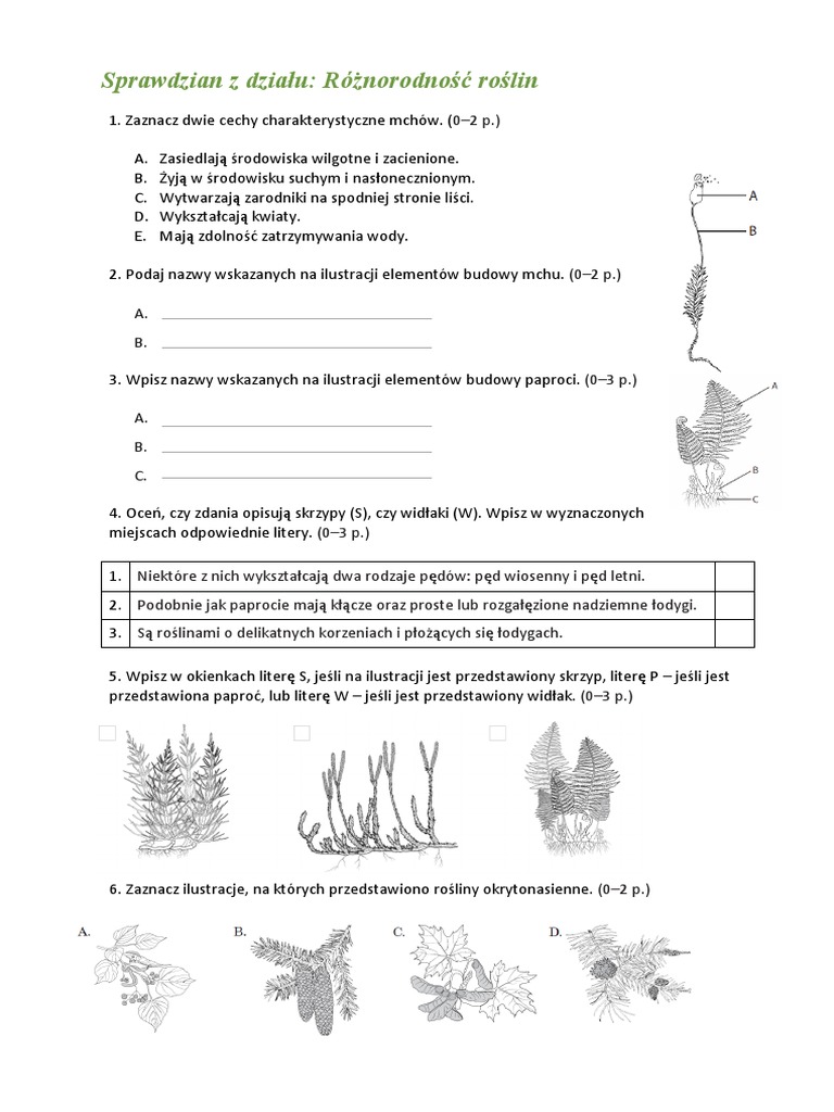 Test - 5 Roznorodnosc Roslin | PDF Test - 5 Roznorodnosc Roslin | PDF