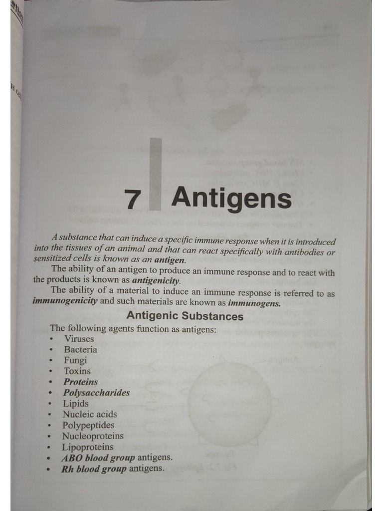 Antigen | PDF