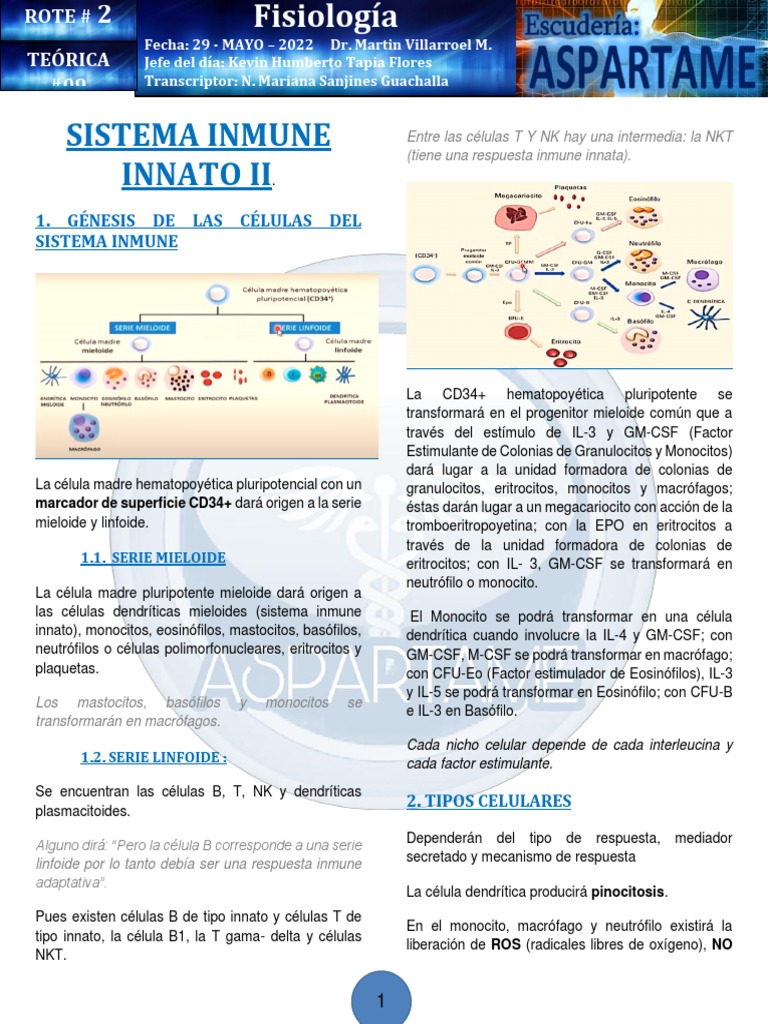 Sistema Inmune Innato Ii: 1. Génesis de Las Células Del Sistema Inmune | PDF | Inflamación ...