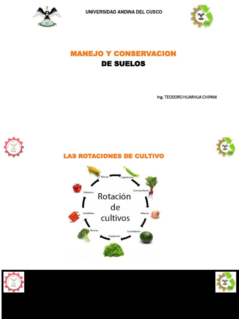 Importancia de la Rotación de Cultivos | PDF | Agricultura | Pasto
