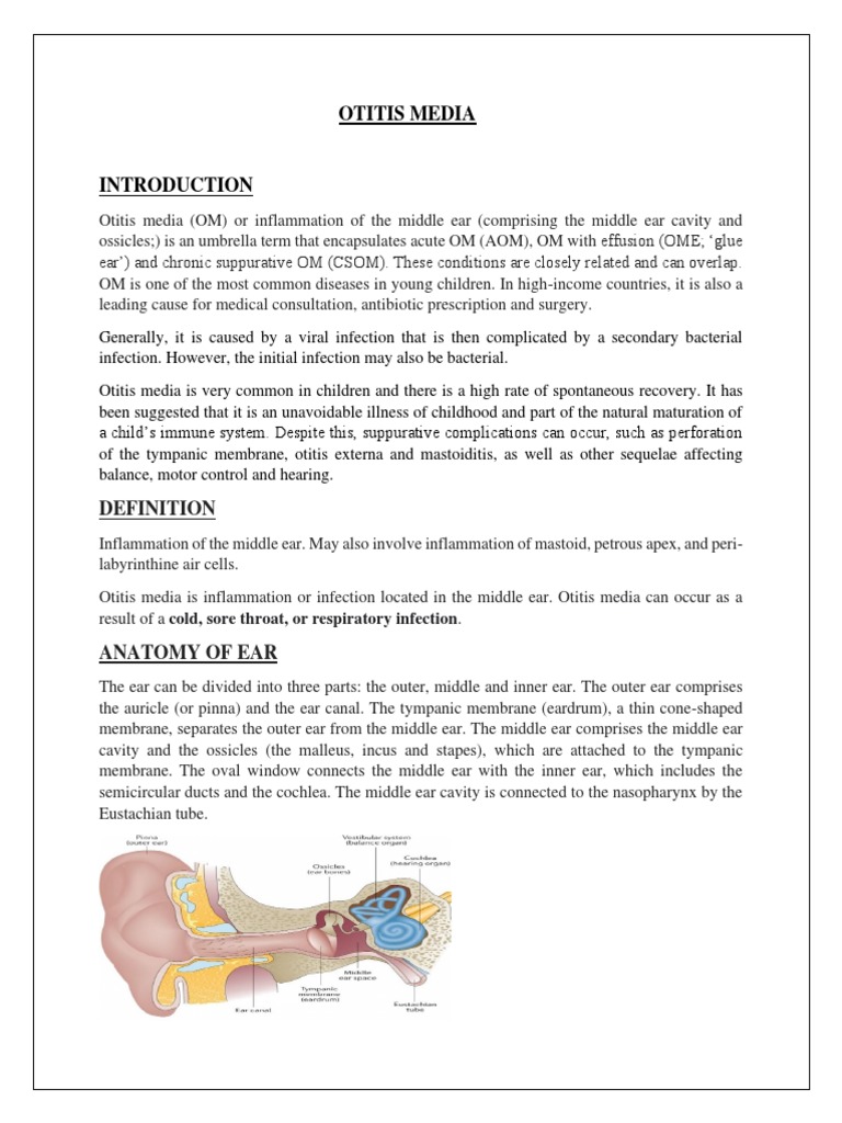 Otitis Media | PDF | Ear | Epidemiology