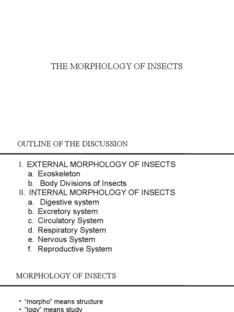 The Morphology of Insects | PDF | Mouth | Arthropods