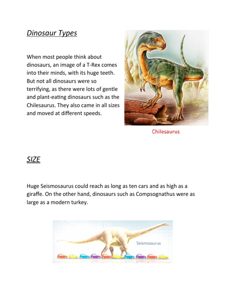 Dinosaur Types | PDF | Dinosaurs | Tyrannosaurus