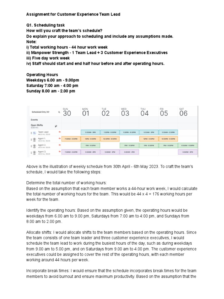 Assignment For Customer Experience Team Lead | PDF | Workweek And Weekend | Cognition