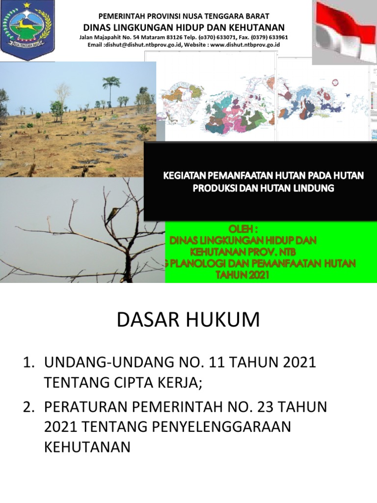 Pemanfaatan Hutan di Nusa Tenggara Barat | PDF | Griya & Taman | Sains ...