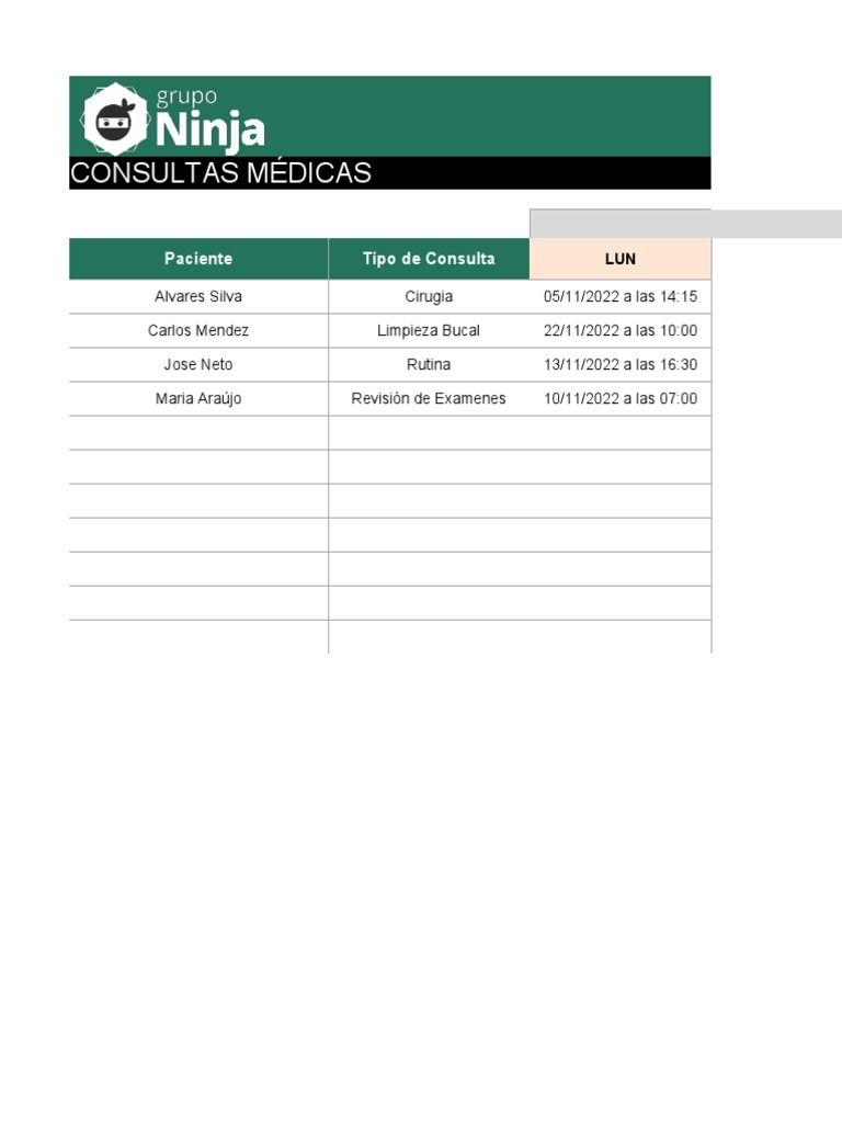 Agenda de Consultas Médicas en Excel | PDF