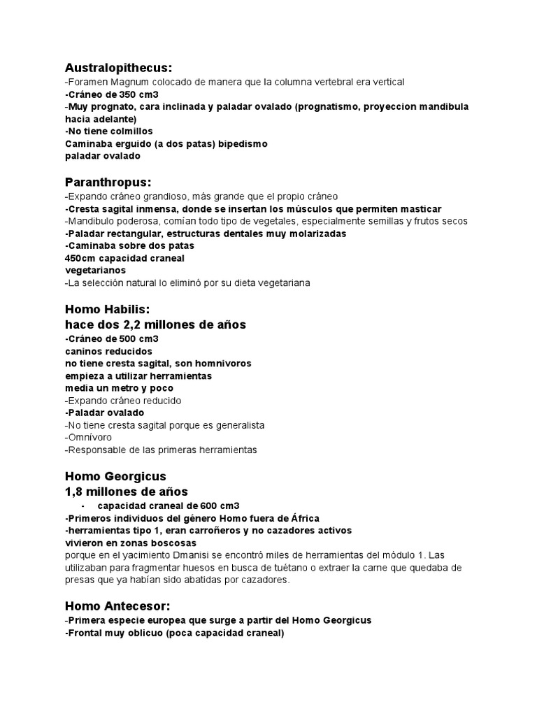 Australopithecus | PDF | Homo | Cráneo