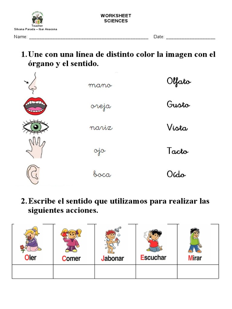 Worksheet Sentidos Y Partes Del Cuerpo Pdf