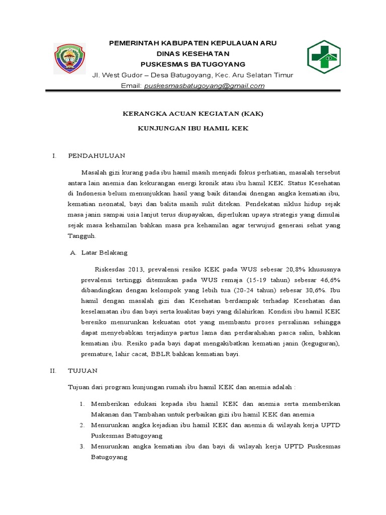 Kak Kunjungan Bumil Kek Pdf