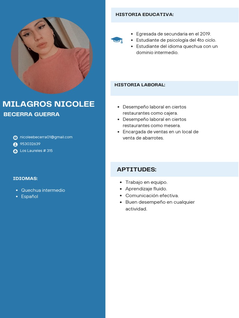 Blue Light Blue Color Blocks Flight Attendant CV | PDF
