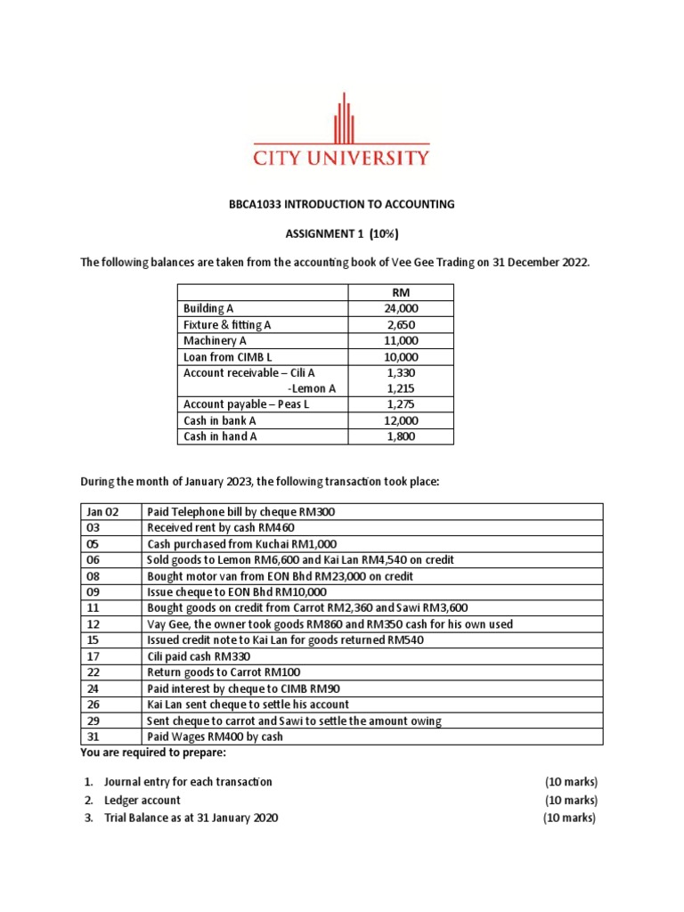 Accounting for Business Transactions: Journal Entries, Ledger Accounts ...