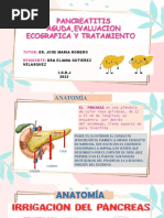 Plastrón Apendicular: Definición y Diagnóstico | PDF