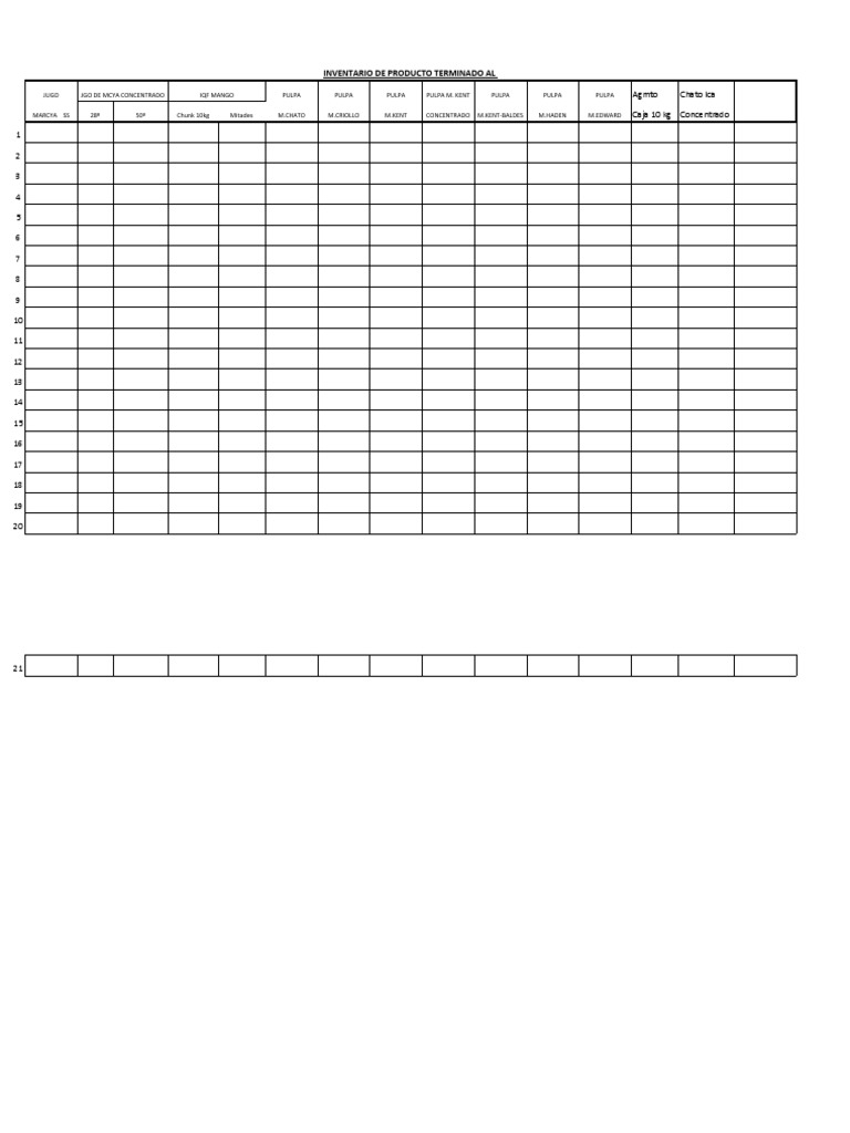 Formato para Inventarios | PDF