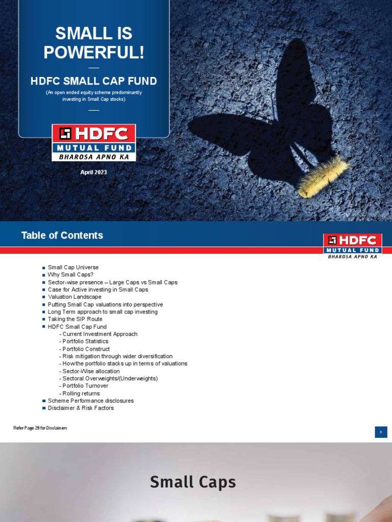 Small Cap Investment Insights | PDF | Stock Market Index | Investing