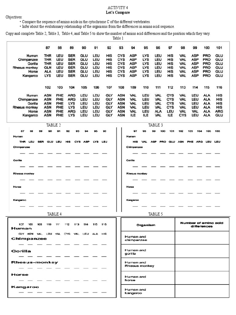 ACTIVITY 4. Let's Compare | PDF ACTIVITY 4. Let's Compare | PDF