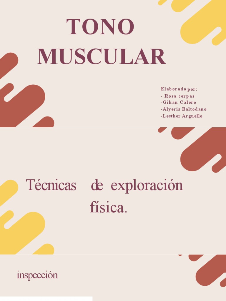 Tono Muscular | PDF | Extremidades (anatomía) | Enfermedades y ...
