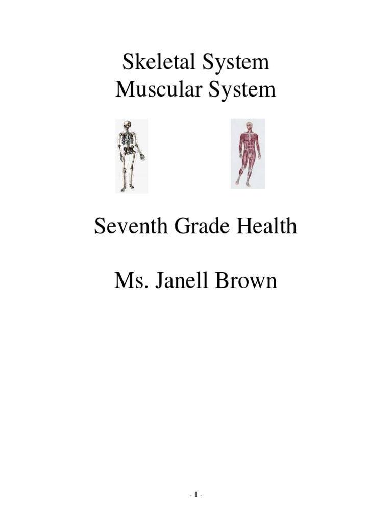 Skeletal and Muscular Systems Health Unit | PDF | Skeletal Muscle ...