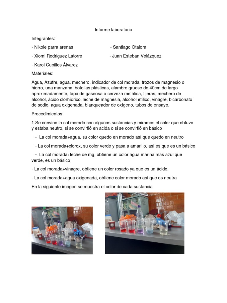 Informe Laboratorio | PDF | Ácido | Ácido clorhídrico