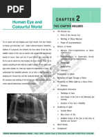Human Eye Structure and Function Guide | PDF | Eye | Myopia
