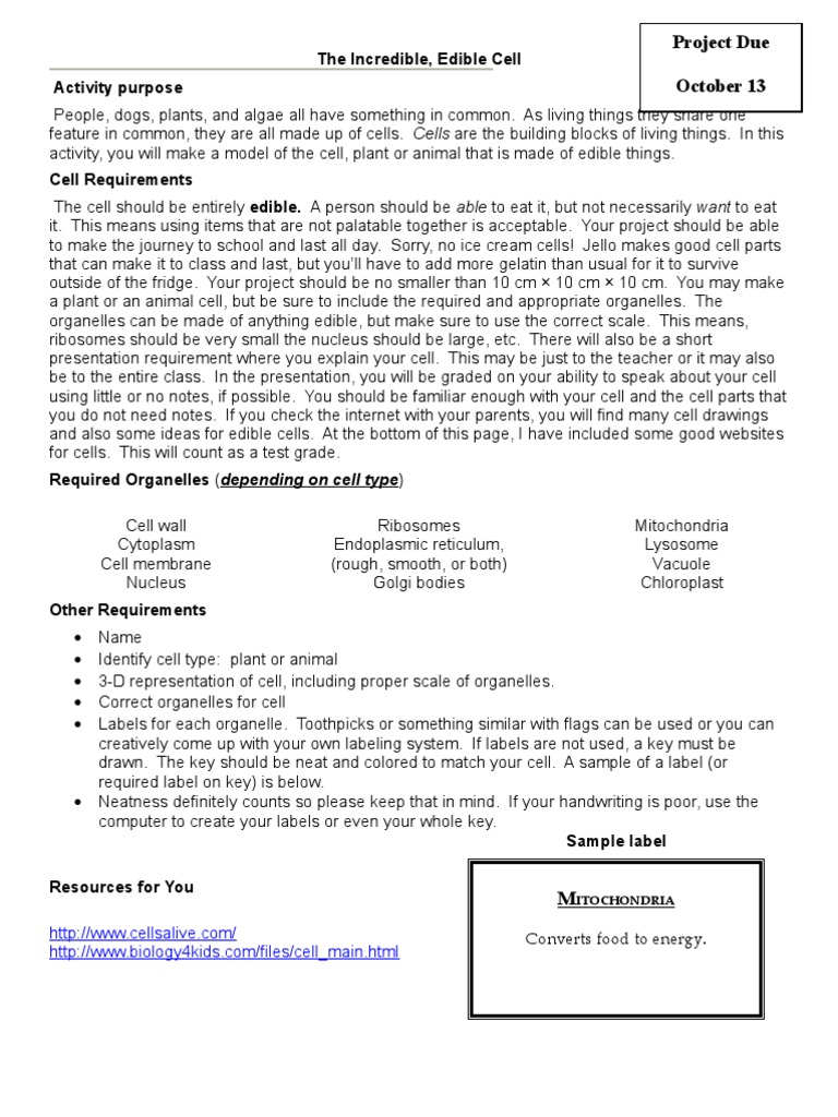 Edible Cell Model Project Guide | PDF | Cell (Biology) | Cell Biology