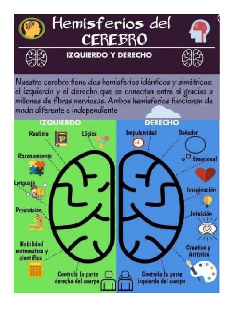 Hemisferios Del Cerebro Pdf