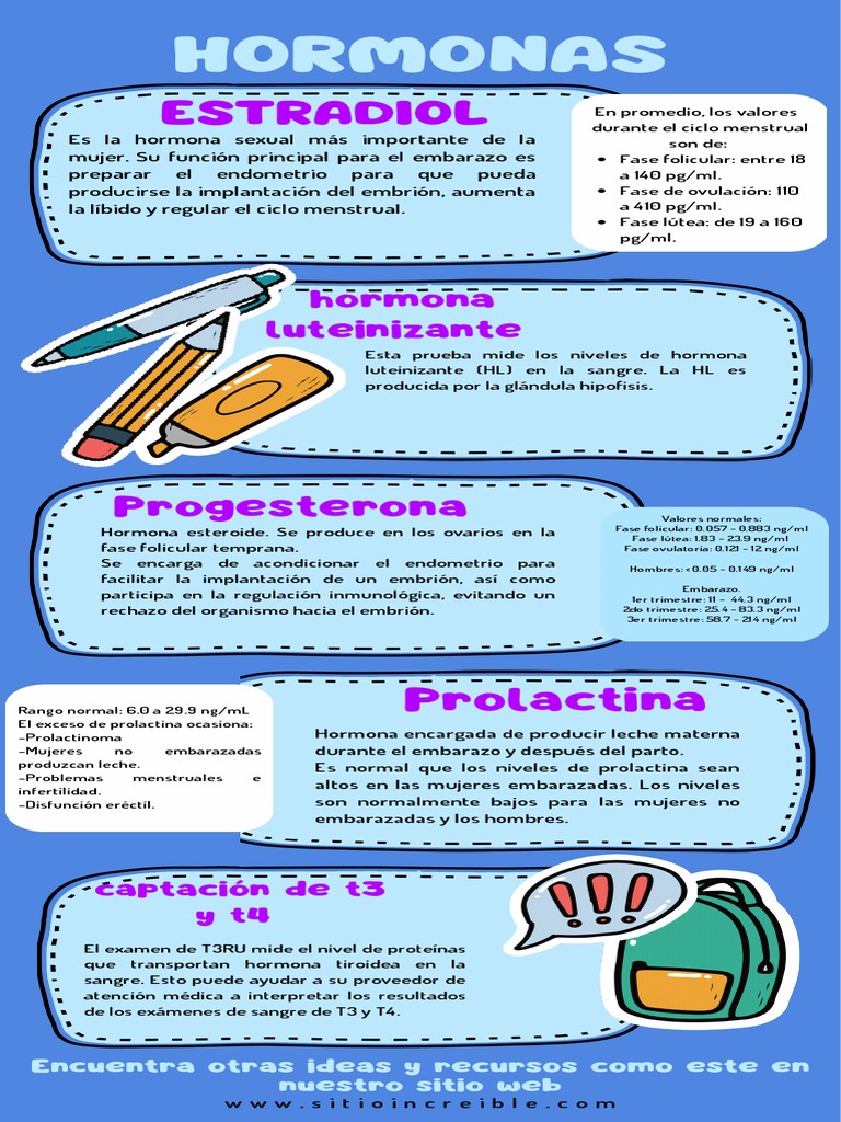 Hormonas | PDF | Ciclo menstrual | Tiroides