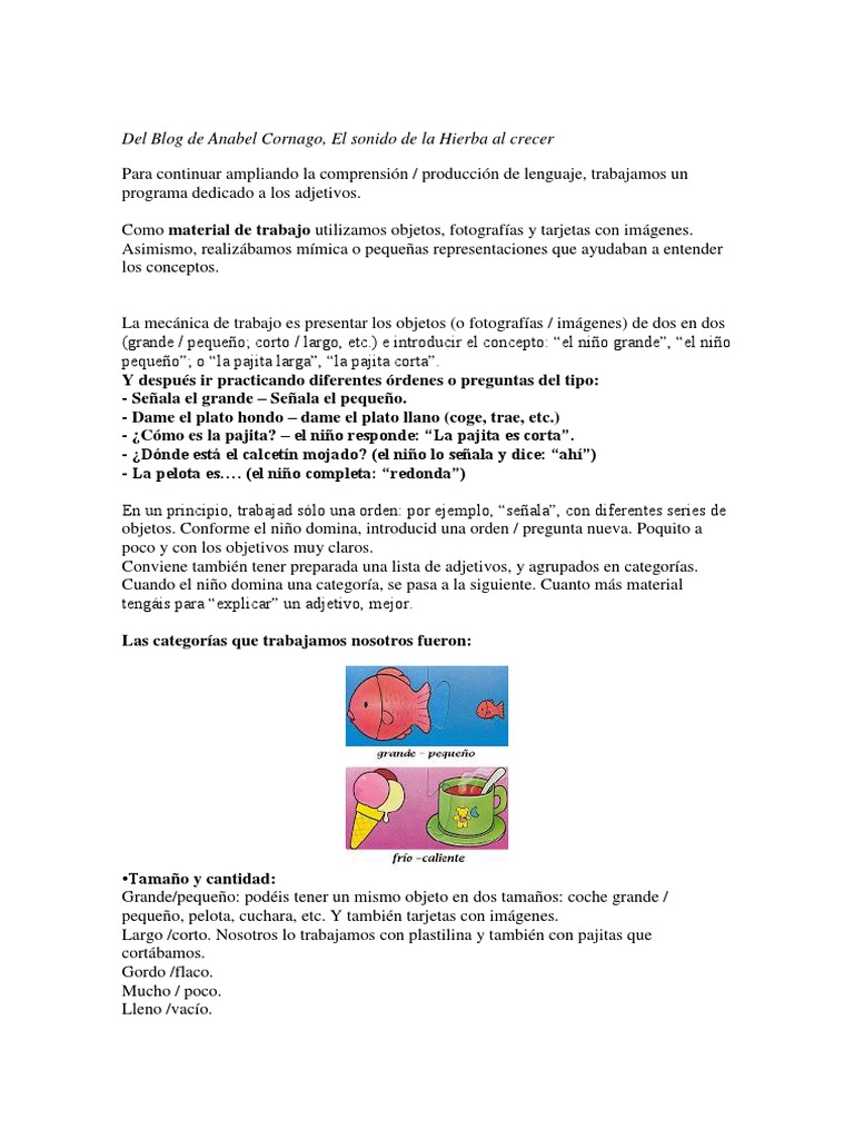 Para Trabajar Los Adjetivos | PDF