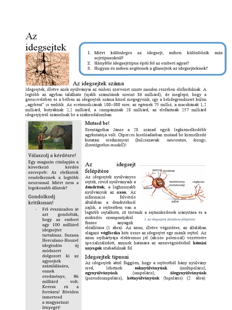 Ideg 2pelda Megoldas | PDF