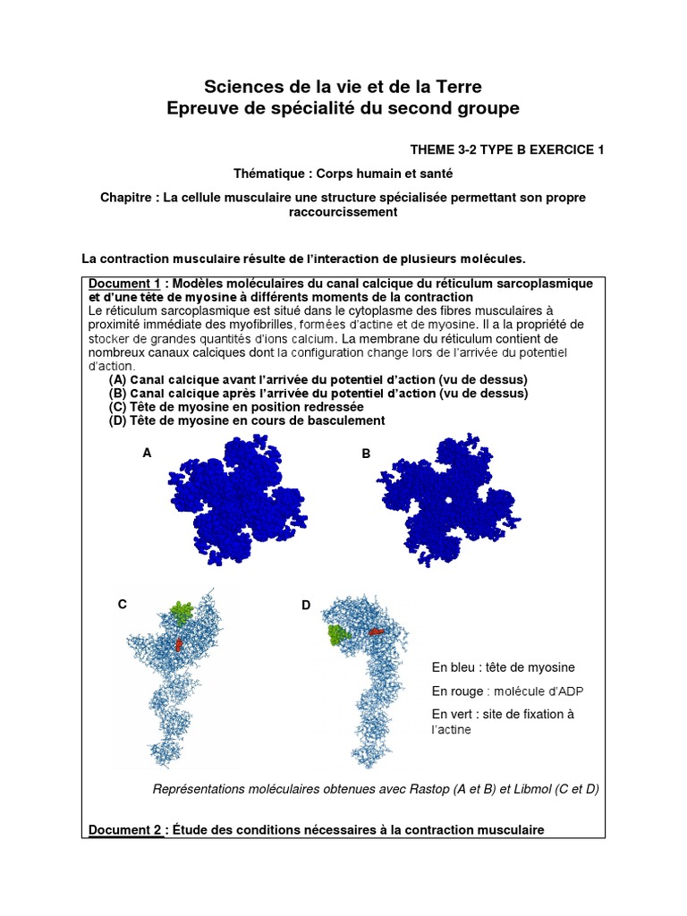 Theme 3 2 Type B Exercice 1 | PDF
