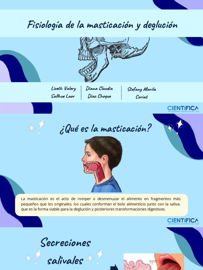 SEMINARIO - Fisiologia de la masticacion | PDF | Boca | Esófago