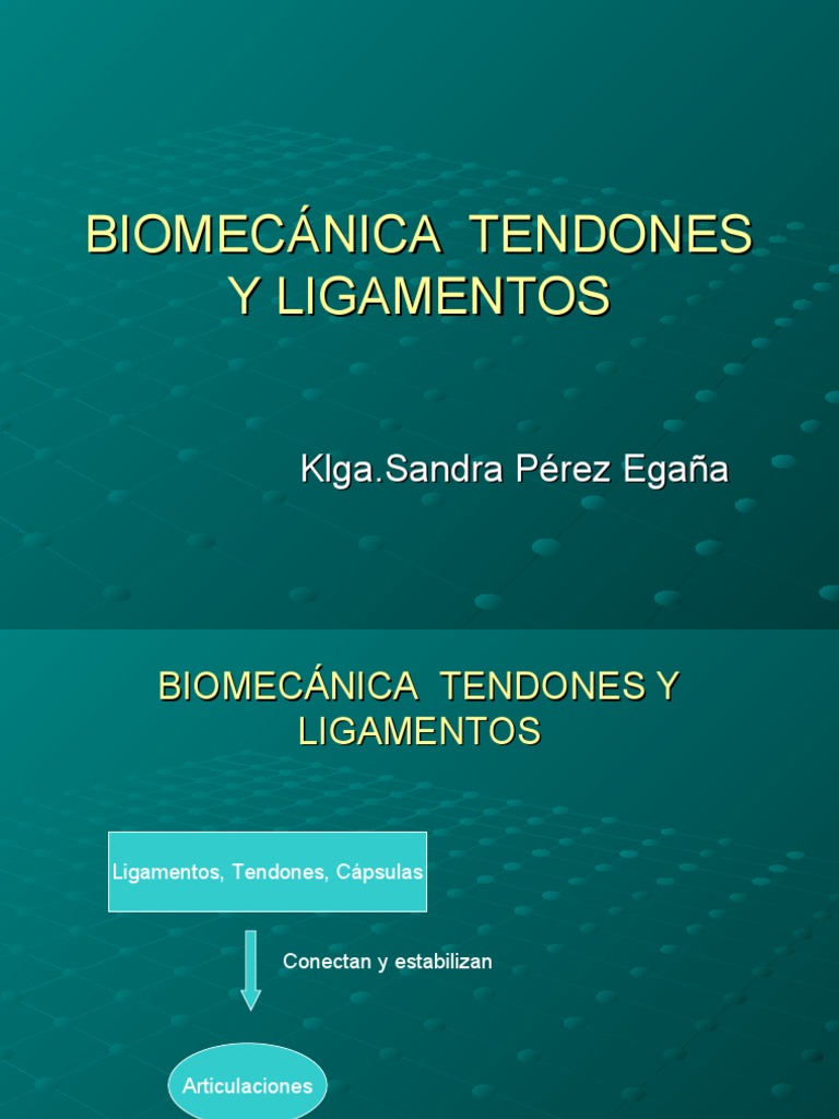 4 Tendones y Ligamentos | PDF | Tendón | Colágeno