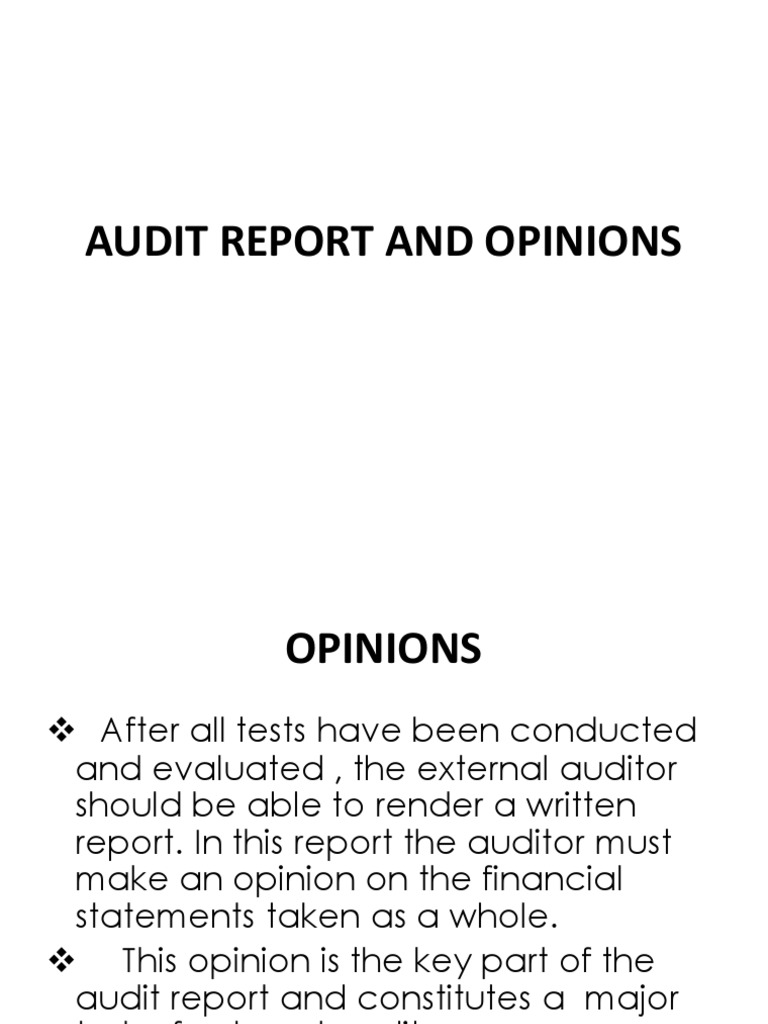 Audit Report and Opinions | PDF
