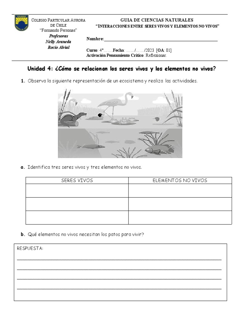 4° Básico - Guía de Ciencias - INTERACCIONES ENTRE SERES VIVOS Y ...
