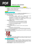 Signos y Maniobras Abdominales | PDF | Abdomen | Vesícula biliar