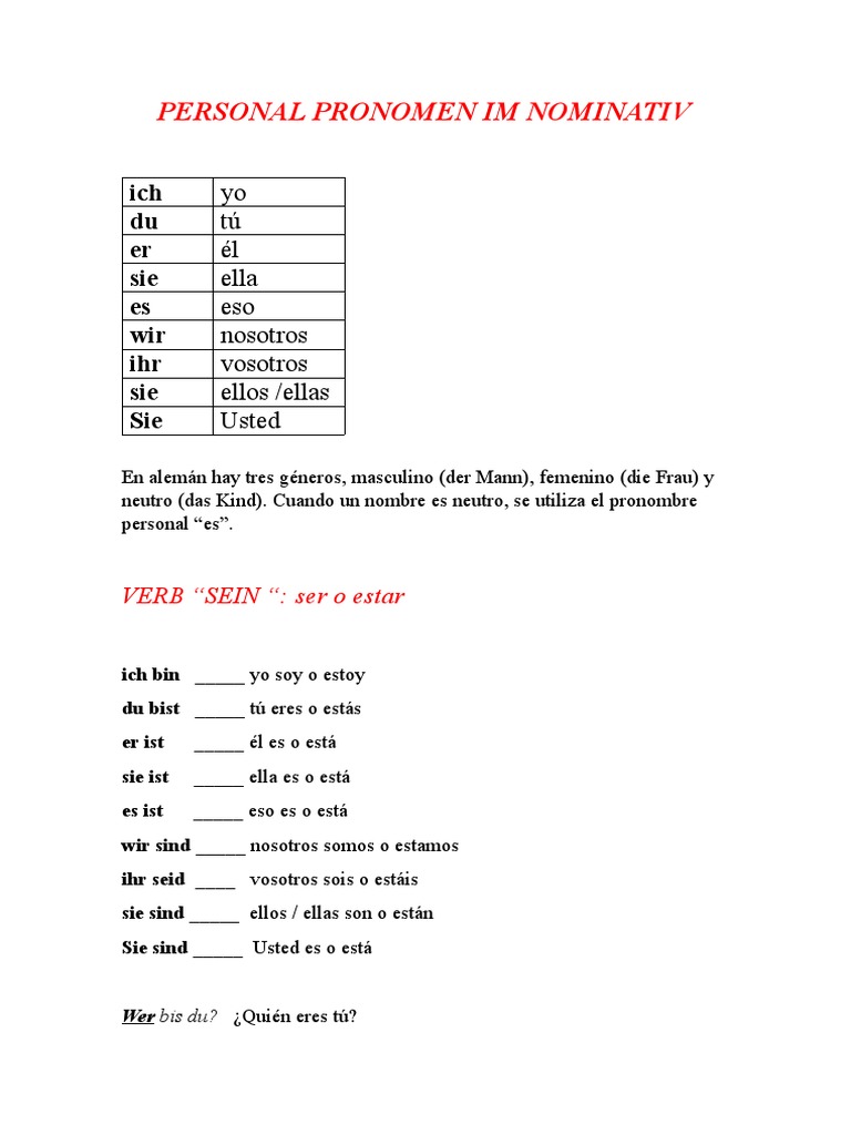 Personal Pronomen Im Nominativ: Ich Du Er Sie Es Wir Ihr Sie Sie | PDF