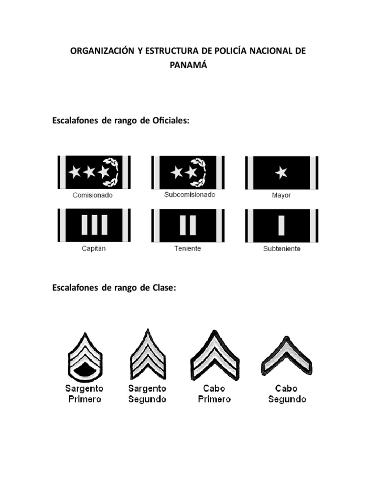 Organización Y Estructura De Policía Nacional De Panamá Pdf