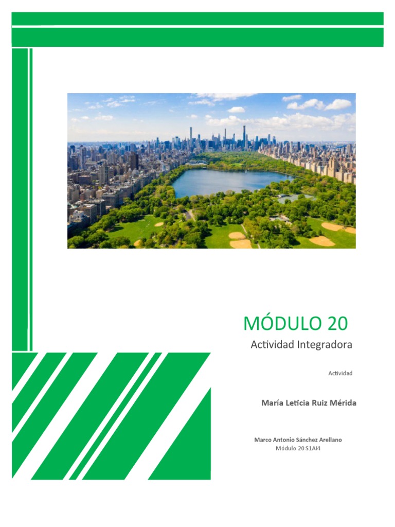 Módulo 20: Actividad Integradora | PDF | Contaminación | La contaminación del aire