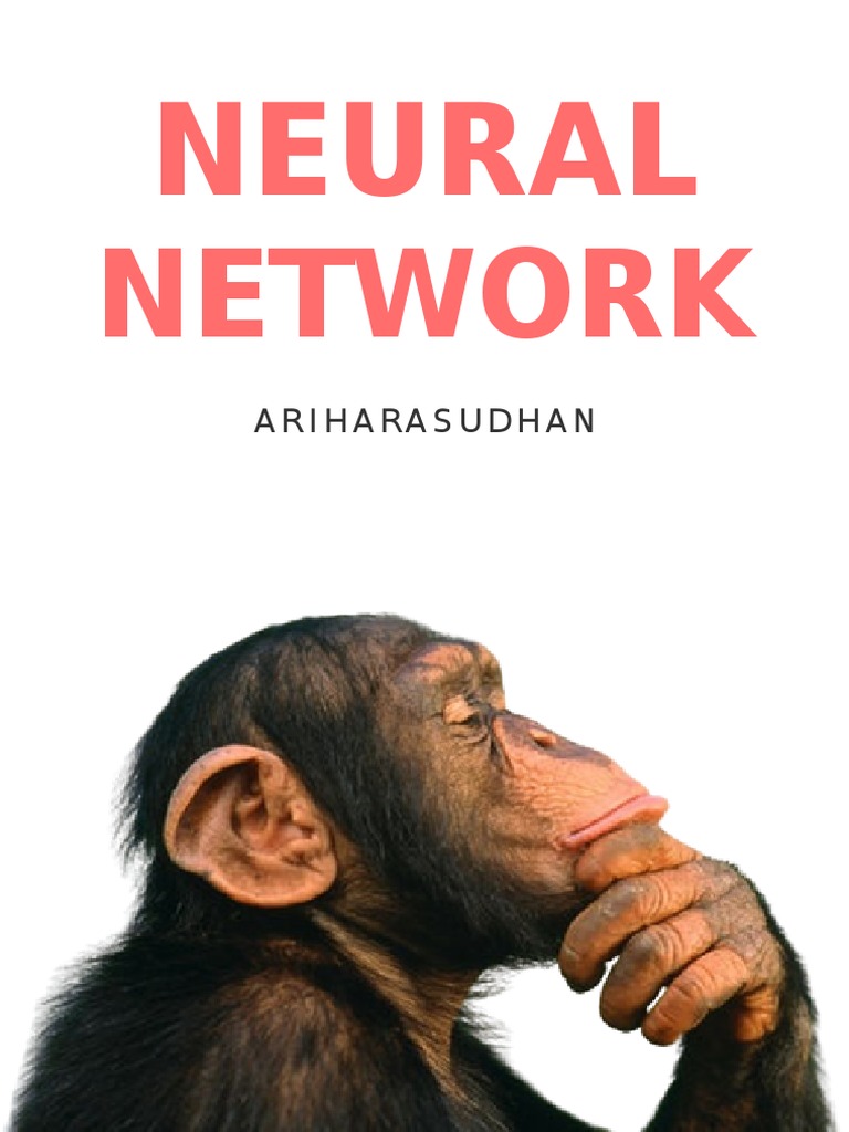 Understanding Neural Networks | PDF | Neuroscience | Applied Mathematics