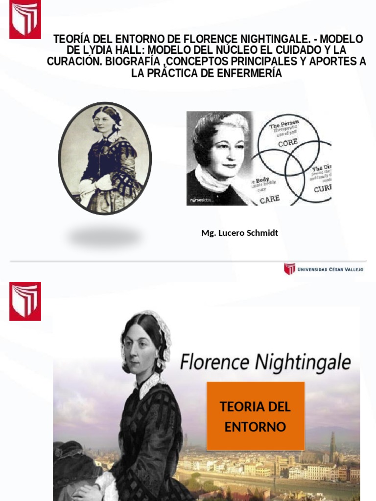 Teoría del Entorno de Florence Nightingale | PDF | Enfermería ...