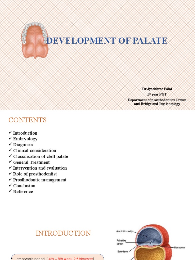 Palate Development & Cleft Management | PDF | Science & Mathematics