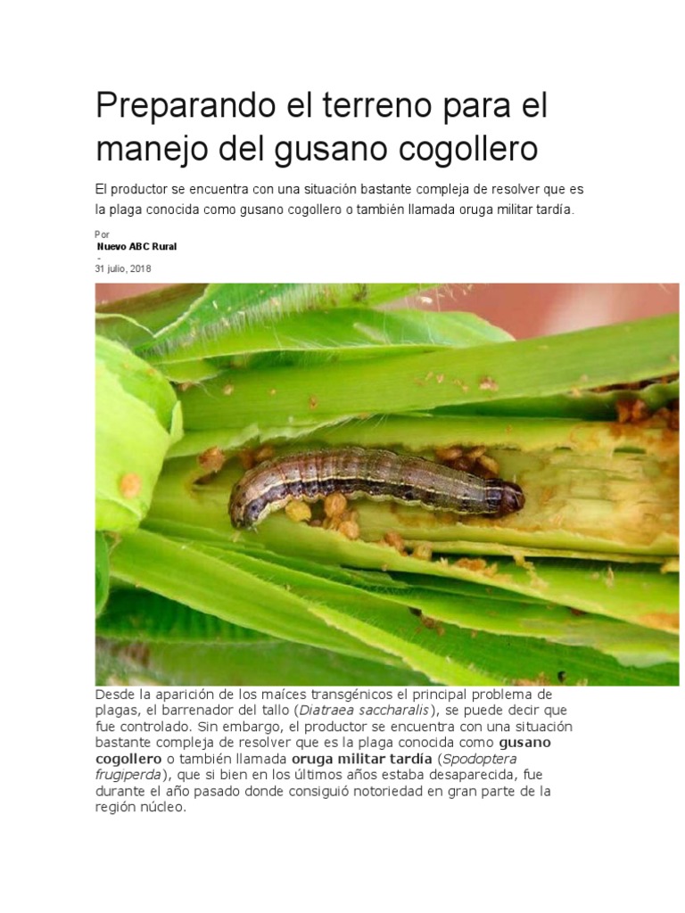 Preparando El Terreno para El Manejo Del Gusano Cogollero | PDF | Agricultura | Organismo ...