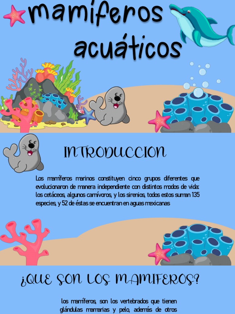 Características de los mamíferos acuáticos | PDF | Mamíferos | Sangre