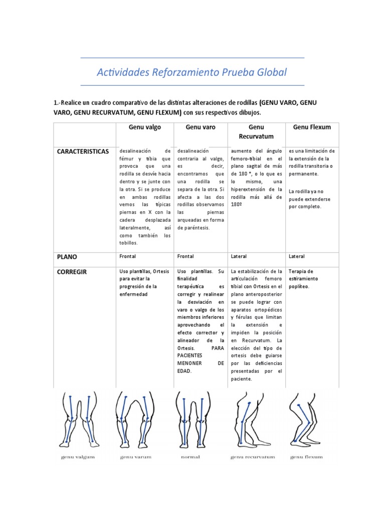 Reforzamiento Prueba Global | PDF | Pie | Rodilla