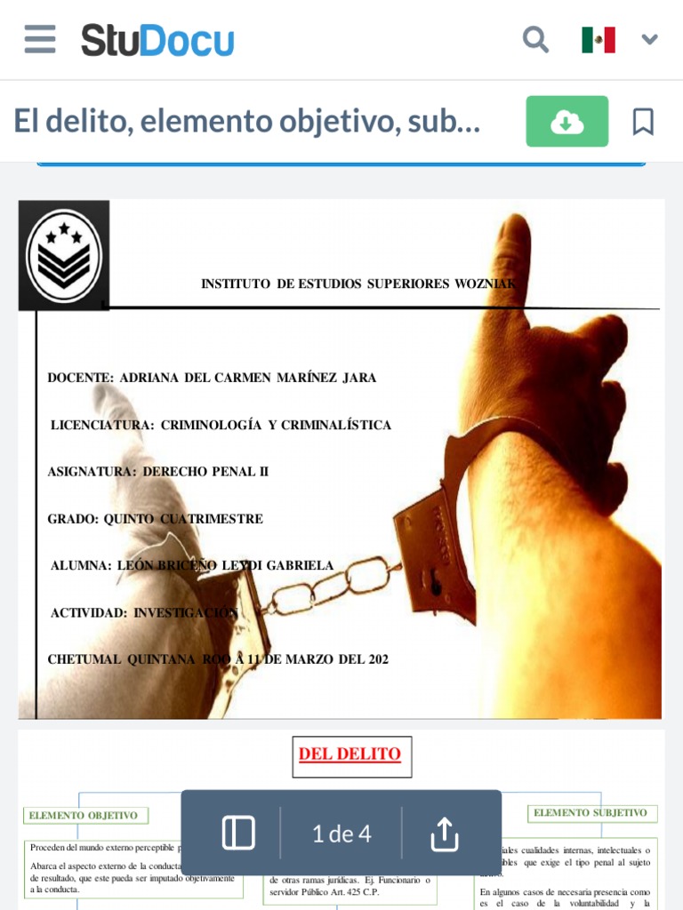 El Delito, Elemento Objetivo, Subjetivo y Normativo - INSTITUTO DE ...