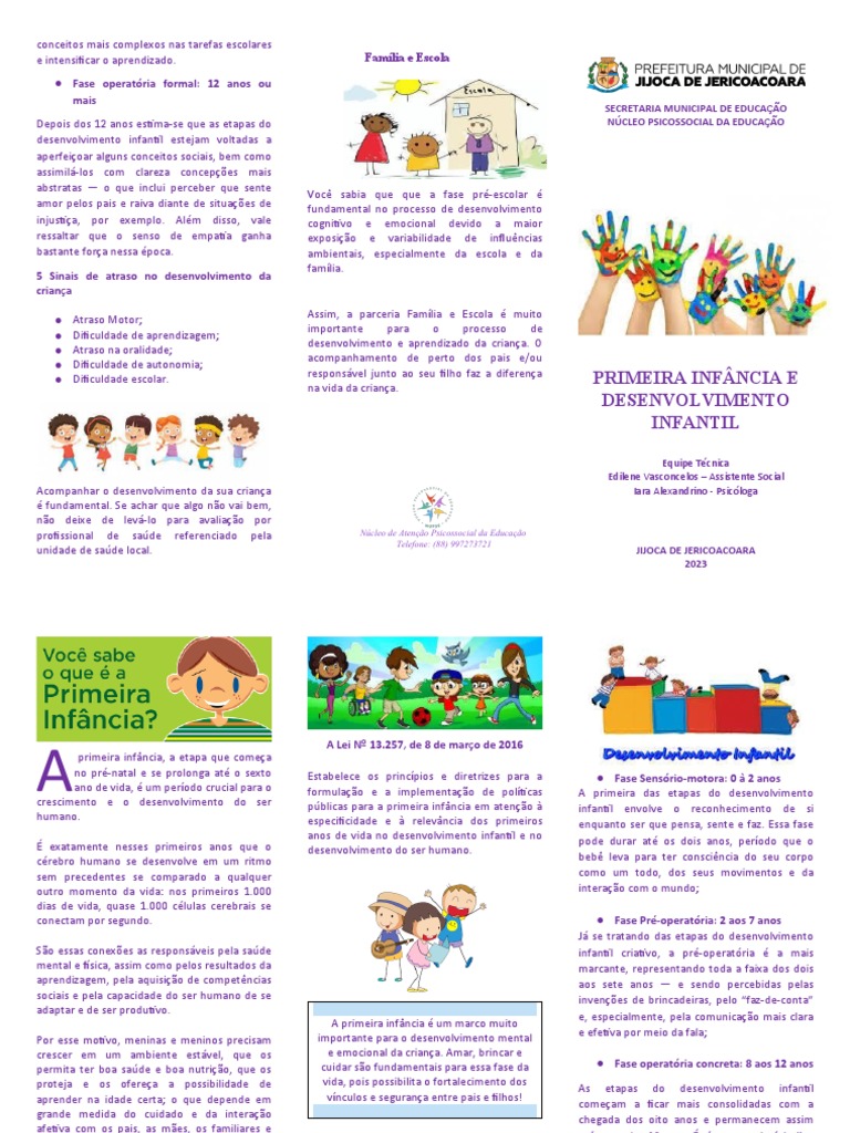 FOLDER Primeira Infancia e Desenvolvimento Infantil | PDF