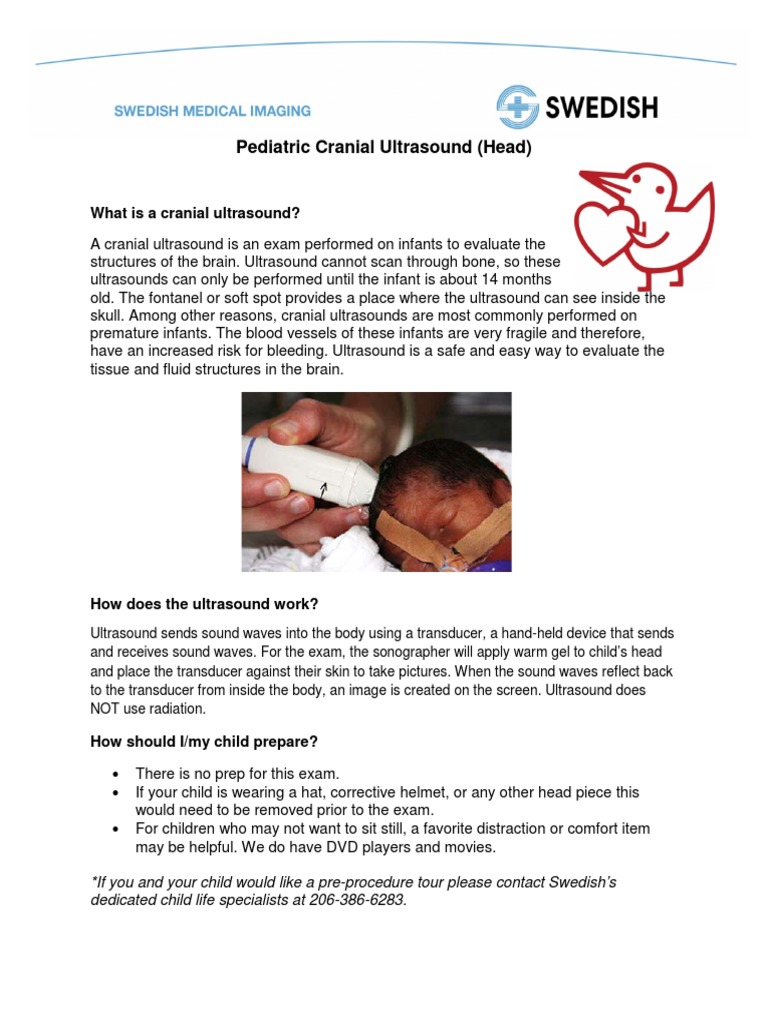 Pediatric Cranial Ultrasound (Head) | PDF