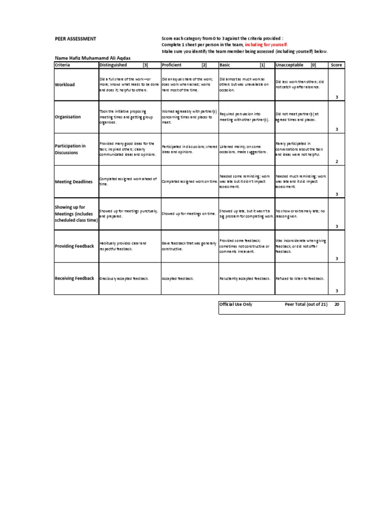 Peer Assessment Scoring Criteria | PDF
