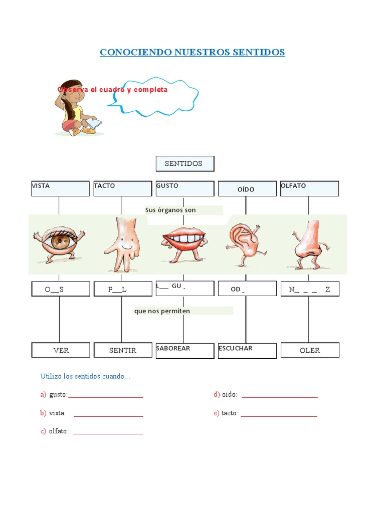 Ficha de Trabajo sobre los Sentidos | PDF